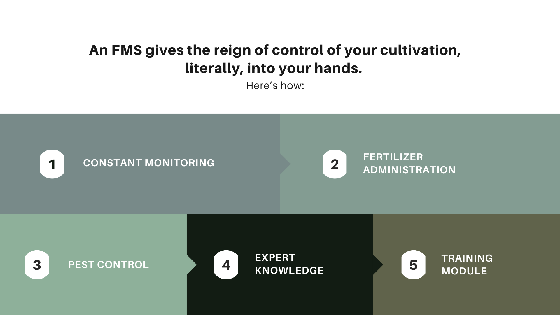 Best methods to increase crop yield | best blog on Trace AgTech