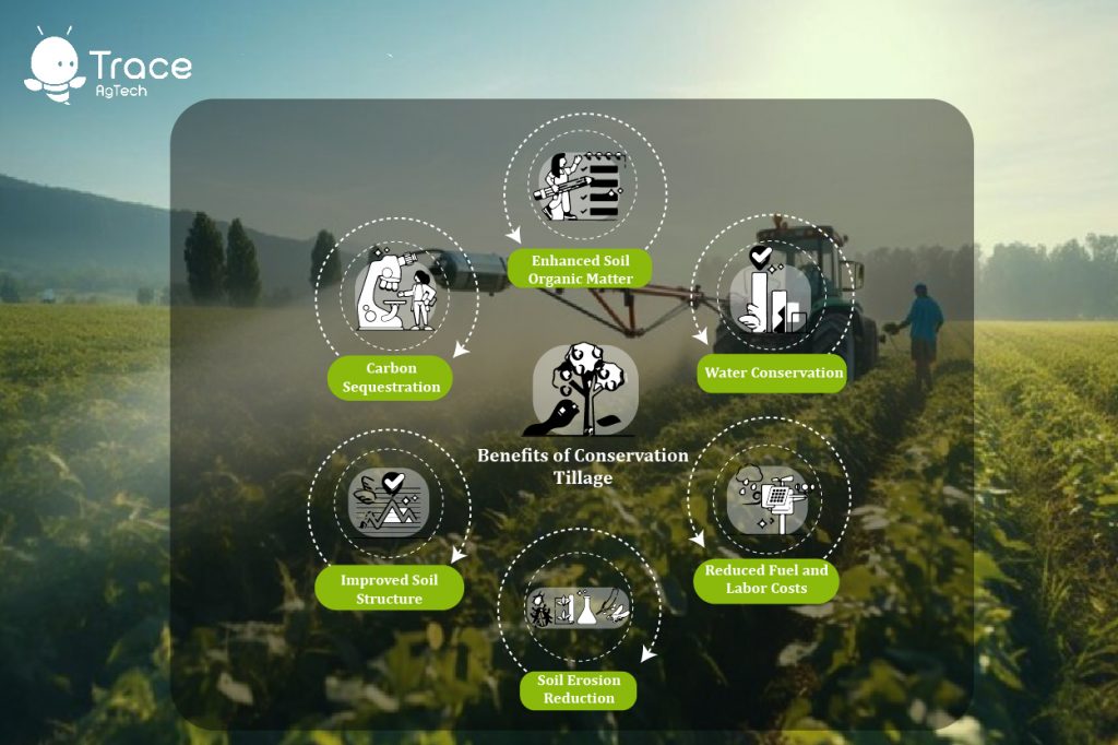 Sustainable Practices for Long-term Crop Yield Improvement - Trace ...